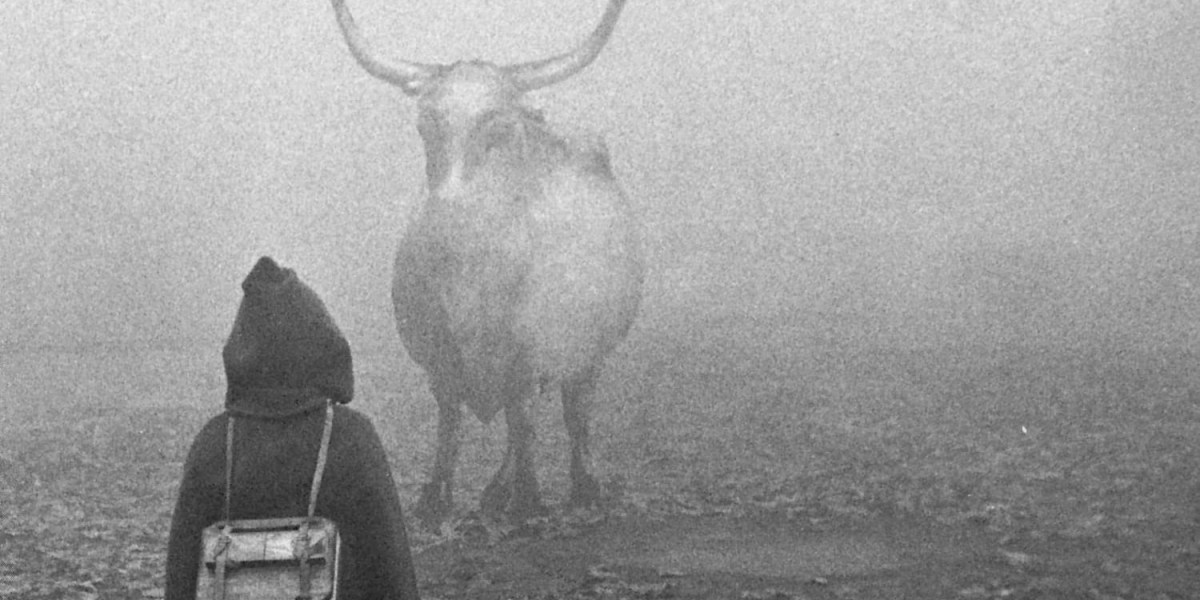 Weird Nightmare @ 30 | burning ambulance